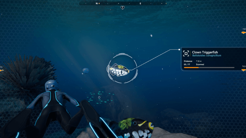 Beyond Blue - Review | Beauty Flows, Gameplay Flounders - NookGaming