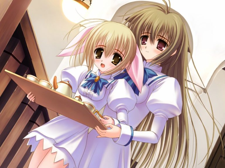 Otoboku: Maidens Are Falling For Me - Review - NookGaming