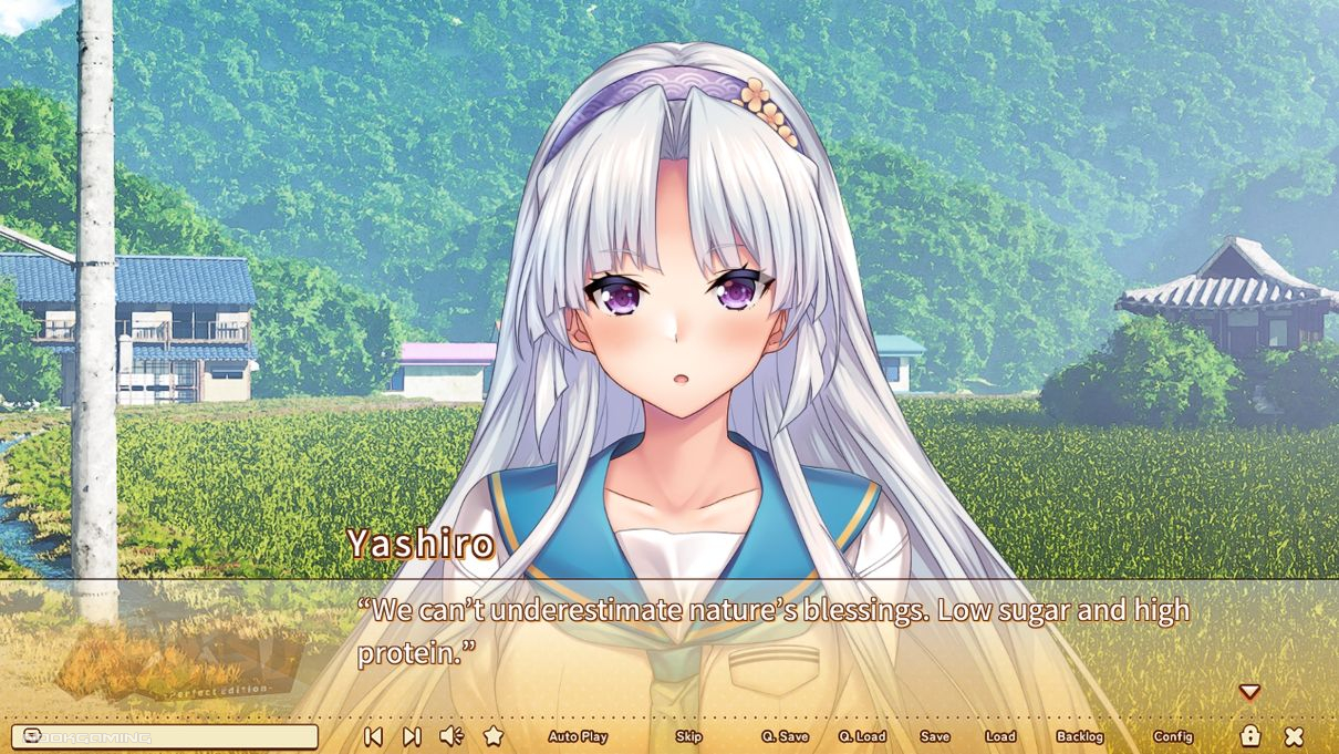 AMANATSU ~Perfect Edition~ - Review - NookGaming
